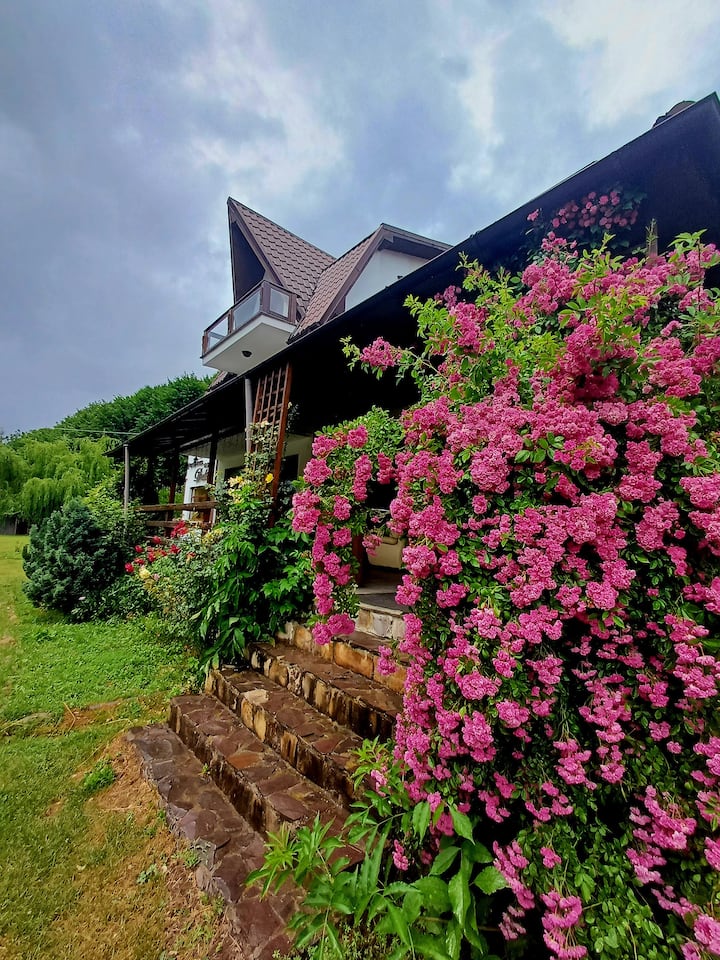 Hai La Munte! - Soveja