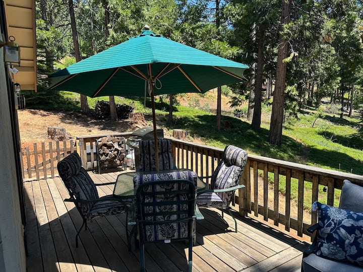 Rustic Cabin In The Woods - Arnold, California, CA