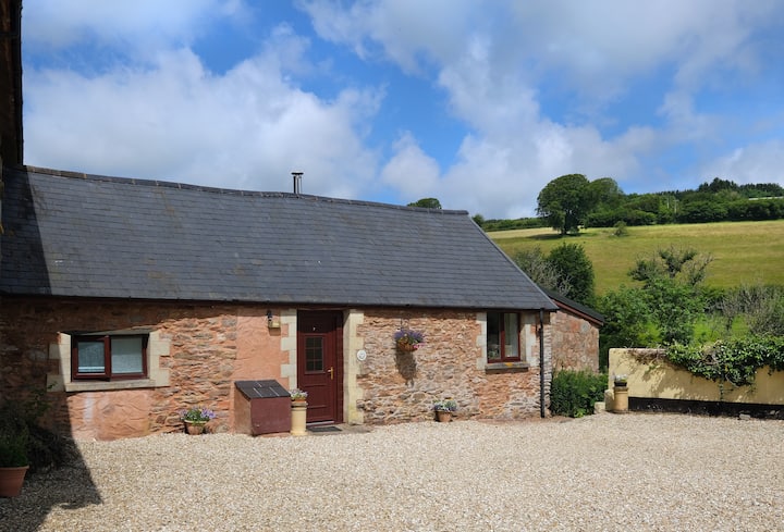 Country Cottage On Exmoor - Exmoor