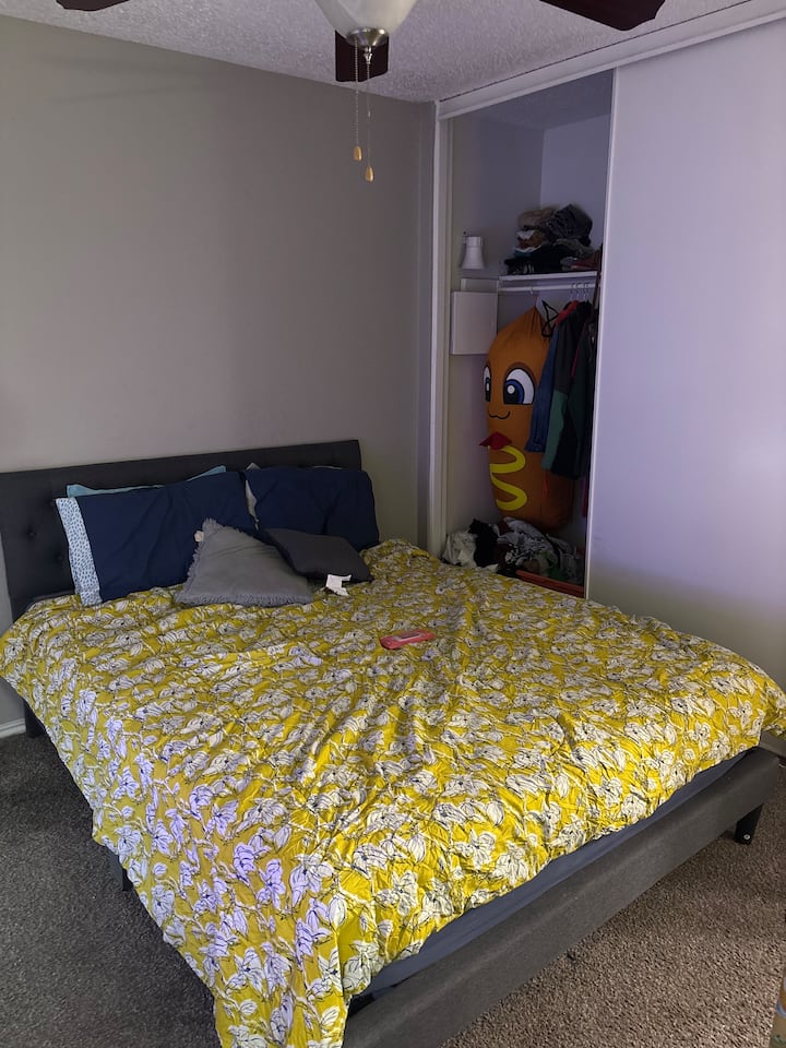 Lala’s Cave - Arlington, TX