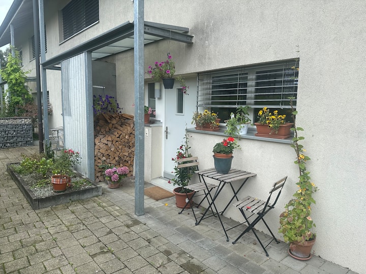Nice Family Home With 2 Cats - Winterthur