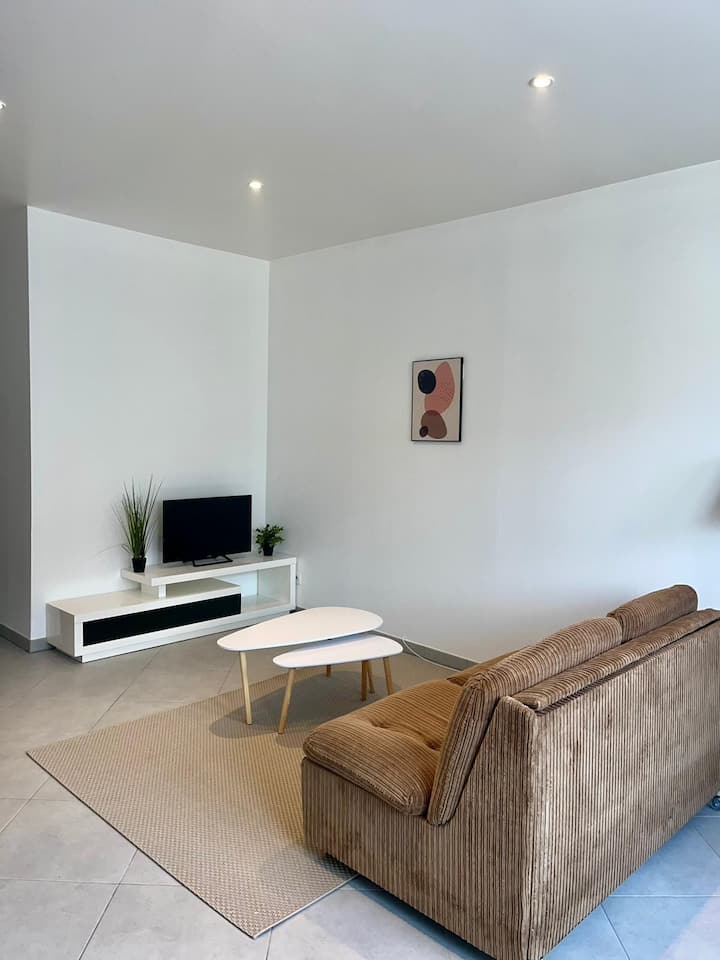 Appartement F3 Lumineux - Thionville