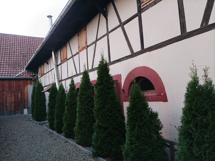 3 Pièces à 10 Mn De Strasbourg - Vendenheim