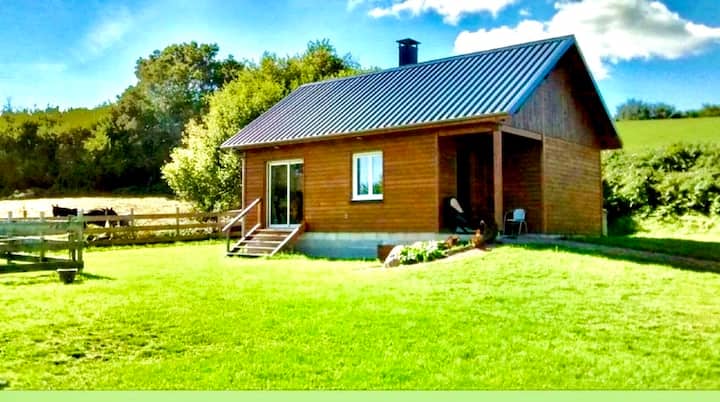 Chalet Au Cœur Du Morvan, Lac De Chaumecon - Nièvre
