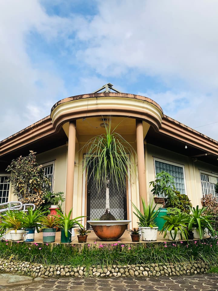 Naga’s Casa De Oro - Pili