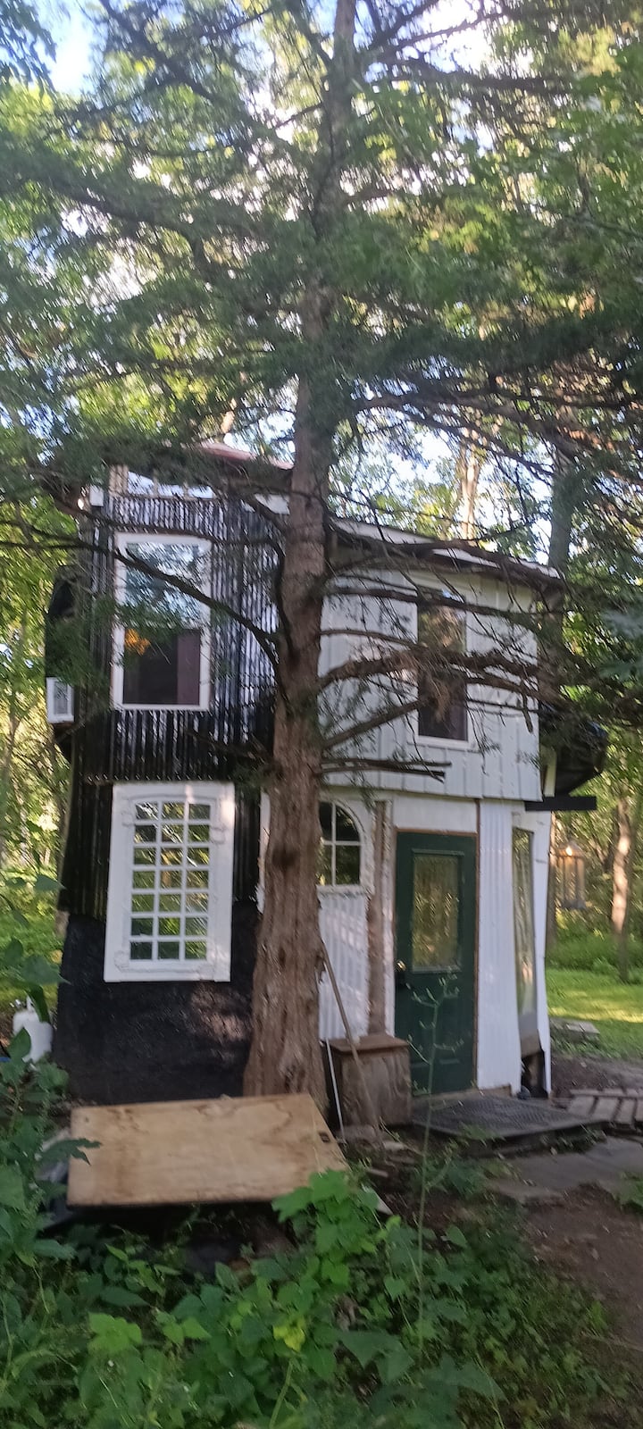 Irving's Gnome Dome Mushroom Sculpture Tiny House - Lake Red Rock, IA