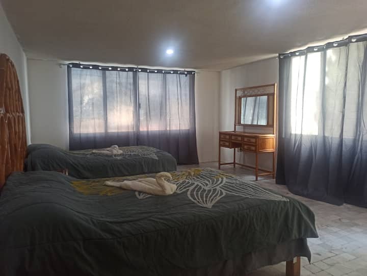 ¡Grupos De Trabajo! 
Tren Interurbano Estación Tlc - Metepec