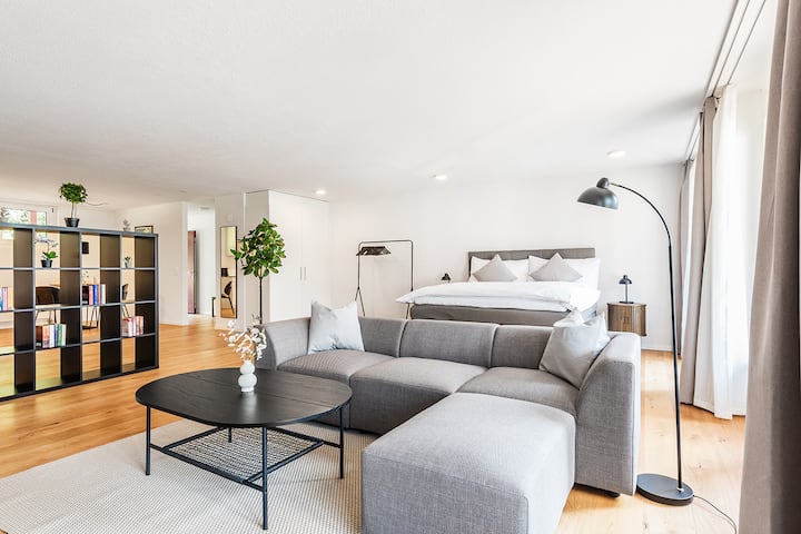 City Loft 2 (Gratis Parken, Free Parking) - Schaffhausen