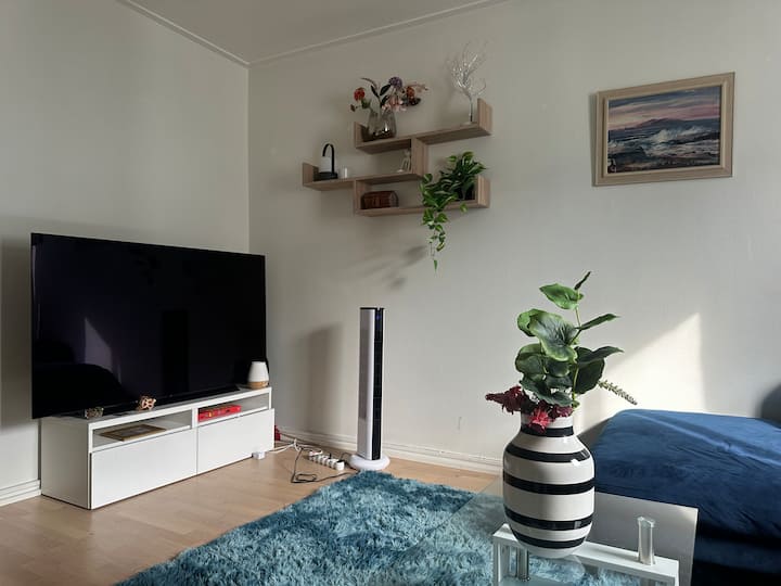 Fancy Studio Apartment. - Oslo