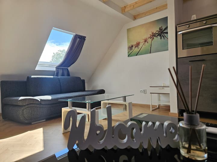 The Grassfields In Heilbronn - Neu Renoviert - Heilbronn