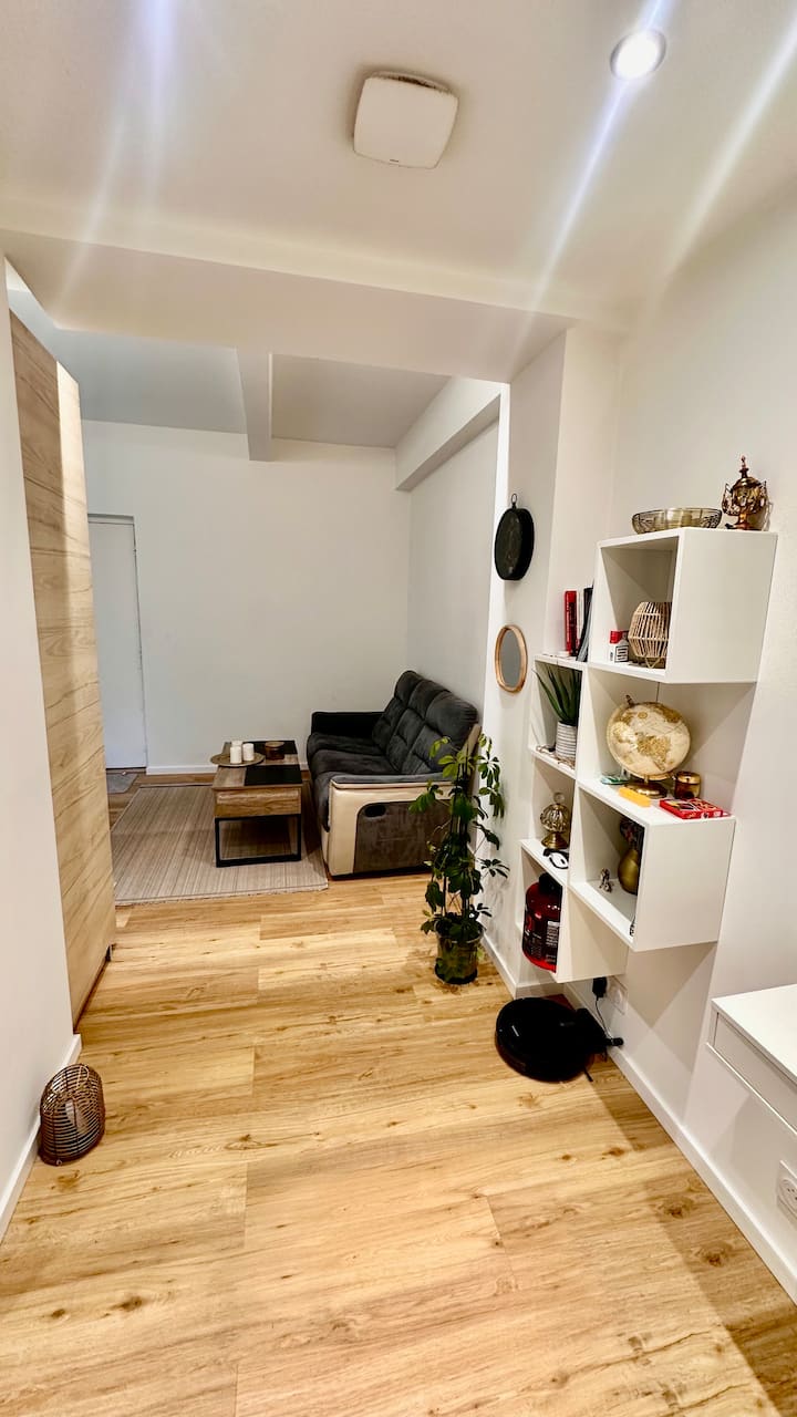 Appartement Centre Paris - Paris