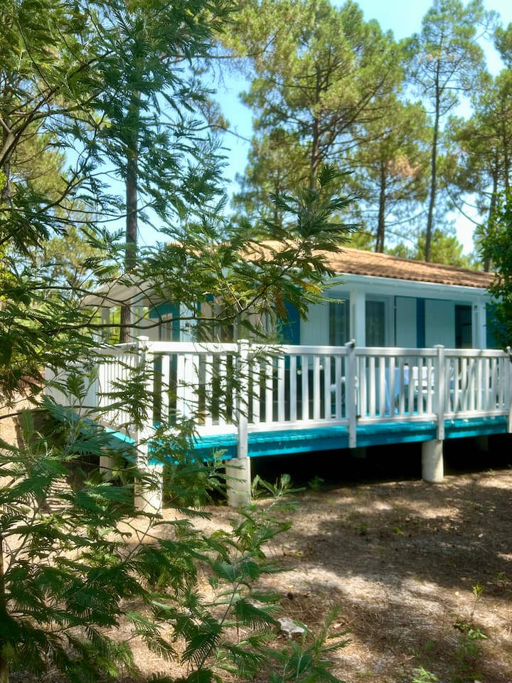 Chalet Louisiana Au Cœur Des Pins à *La Jenny* - Le Porge