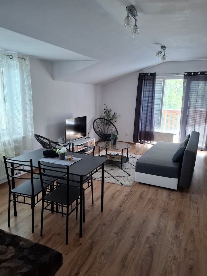 Apartmán Fox 12 - Nowa Leśna