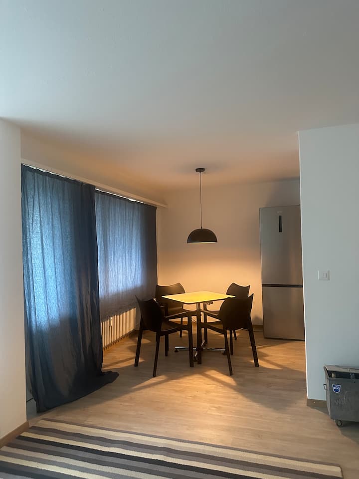 Newly Renovated Apartment For 5 People - Erlenbach