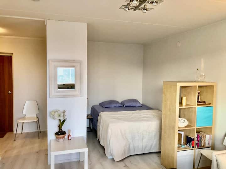 Allergy-friendly Apartment - Espoo