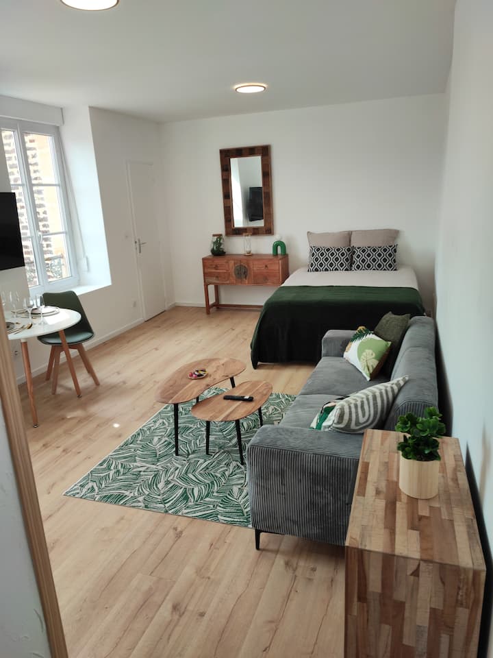 Cmg Studio 202 Xl Petit Bois Place Ducale - Charleville-Mézières