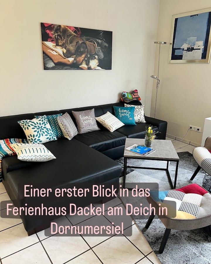 Dackel Am Deich - Bensersiel