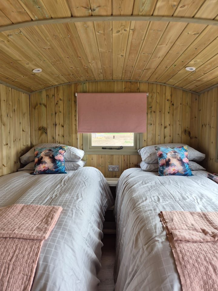 The Otter At Ellerdine Lakes - North Wales