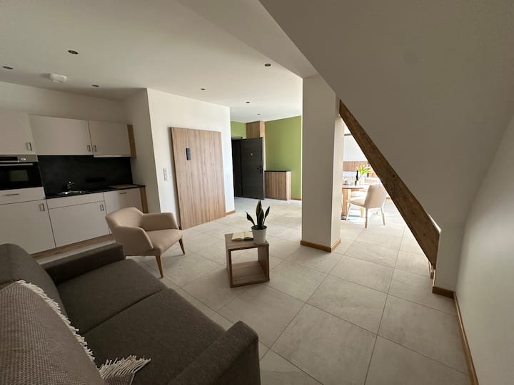 Domaine De Haslach - Appartement Standard - Munster