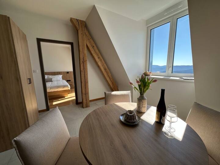 Domaine De Haslach - Appartement Standard - Munster