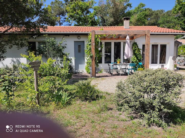 Dormir à Lacanau Villa Le Cap Et Villa Tribord - Lacanau