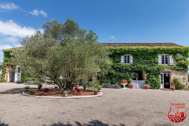 Gîte Avec Piscine Et Animaux - Graulhet