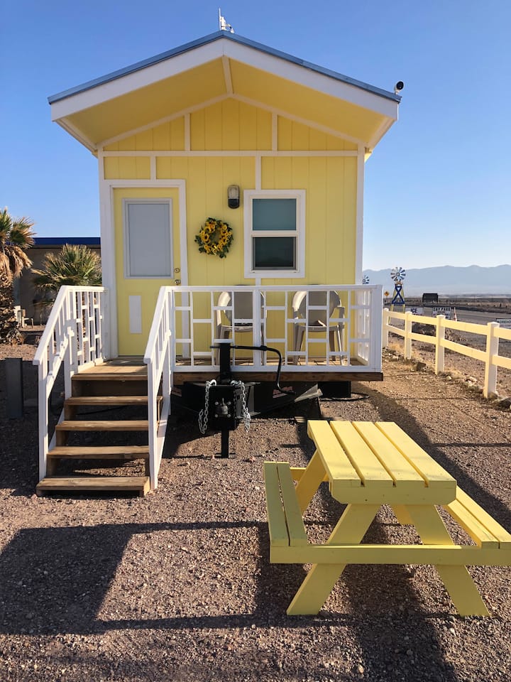 A "Sunflower" In The Desert Abyss ! - United States