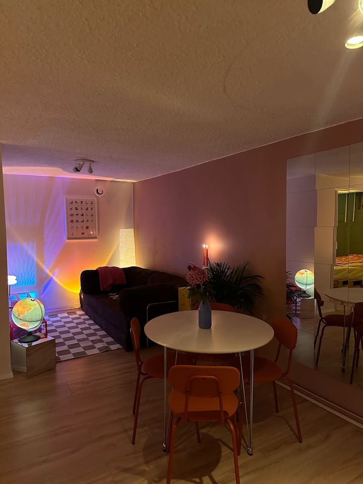 Cozy Small Flat In Reykjavik - レイキャビク