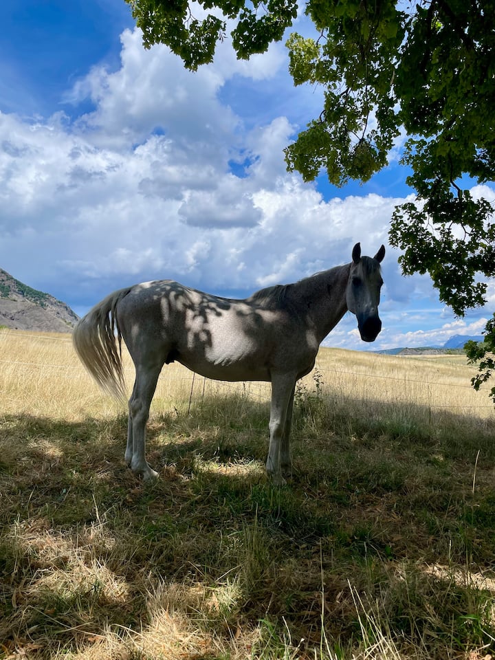 Calme Au Cœur Du Vignoble - Chabanon