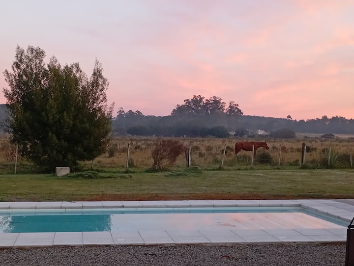 Chacra En Alquiler. - Maldonado