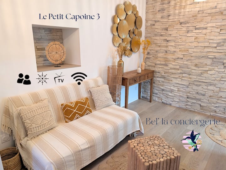 Le Petit Capoine 3 - T2 Au Centre De Carcassonne - Carcassonne