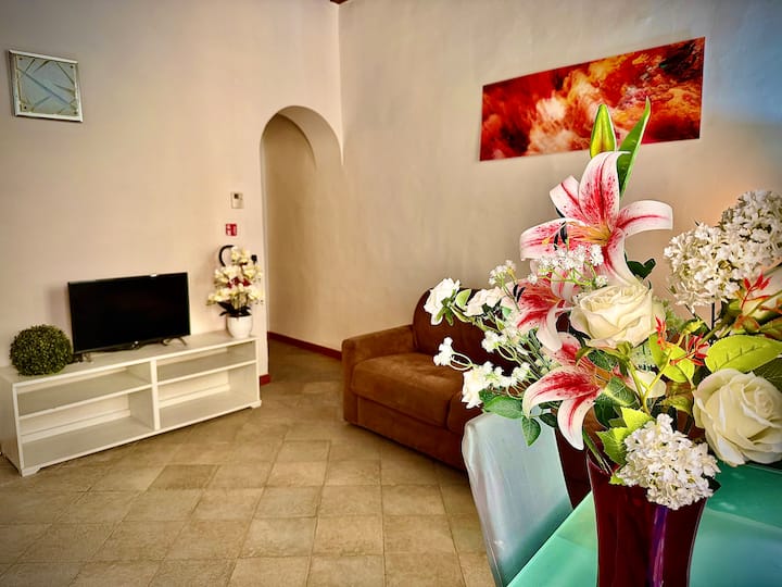 Santo Spirito Central Cozy Flat - Florence