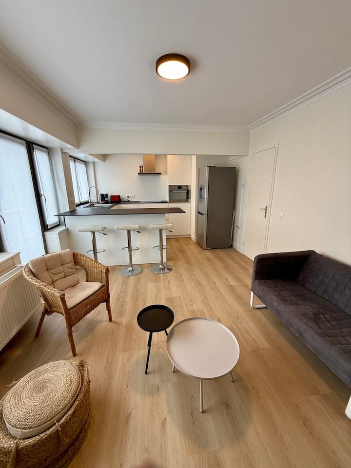Appartement Vlakbij Het Centrum - Deerlijk