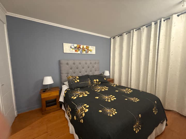 Flat In Providencia For 3, With Heating And Parking - Chile