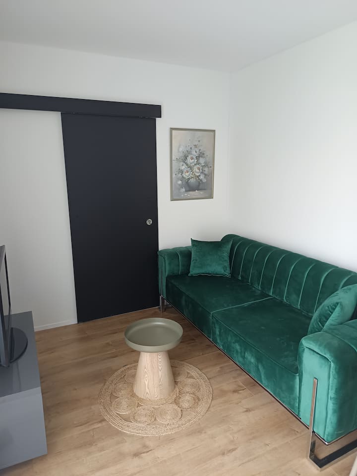 Studio Chez Soum, Orly &Paris Faciles - Juvisy-sur-Orge