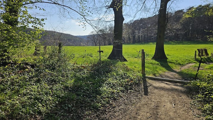 60m² Entre Ville Et Forêt - Andenne