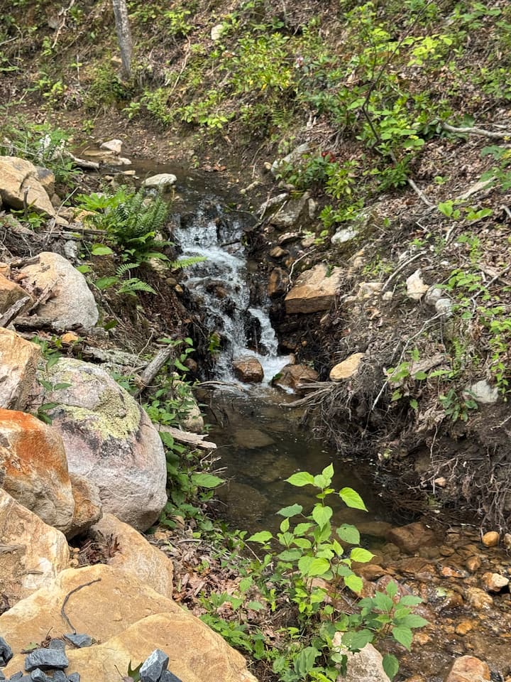 Noble Retreat Cabin - 에덴부르그