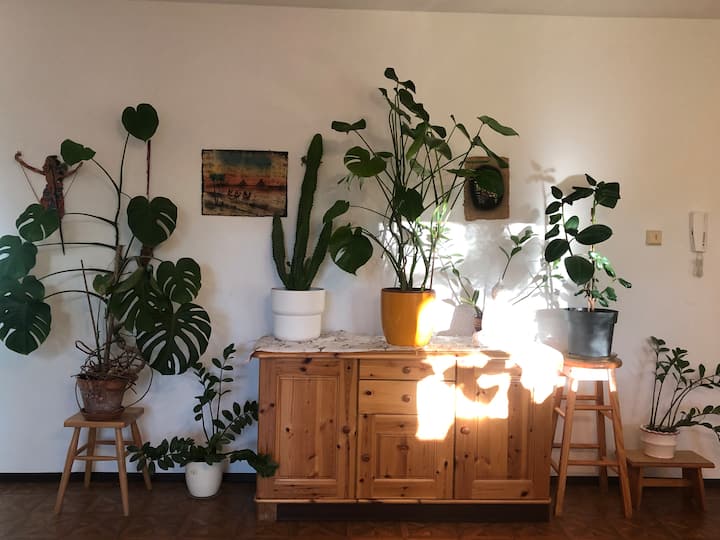 Gemütliches Zimmer/wohnung - Lienz