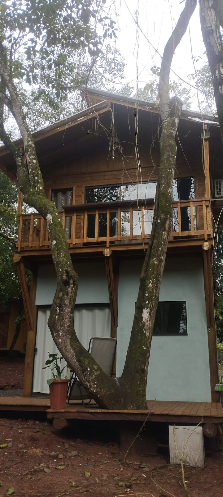 Urutau - Puerto Iguazú