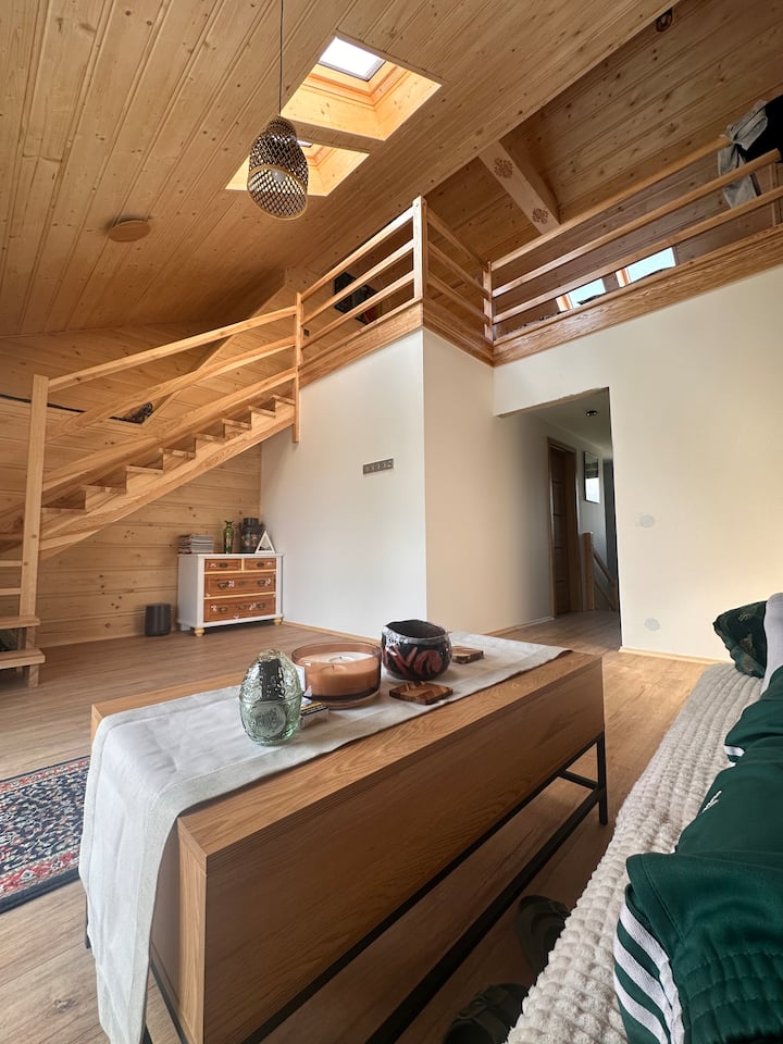 Apartament Czarna Montana - Białka Tatrzańska