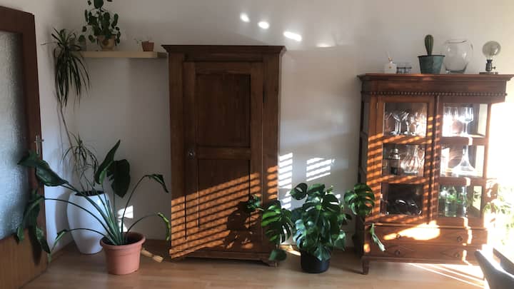 Stadtwohnung - Mannheim Hbf Station