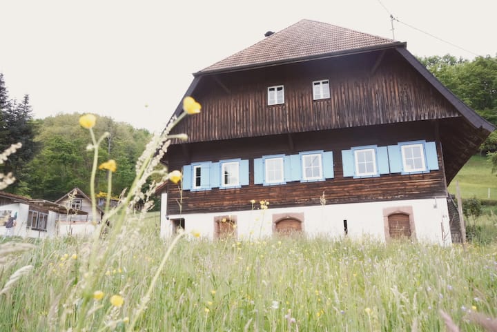 Schwarzwaldzeit Am Lumi Hof - Zwarte Woud
