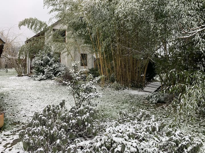 Bambuszkert - 헝가리