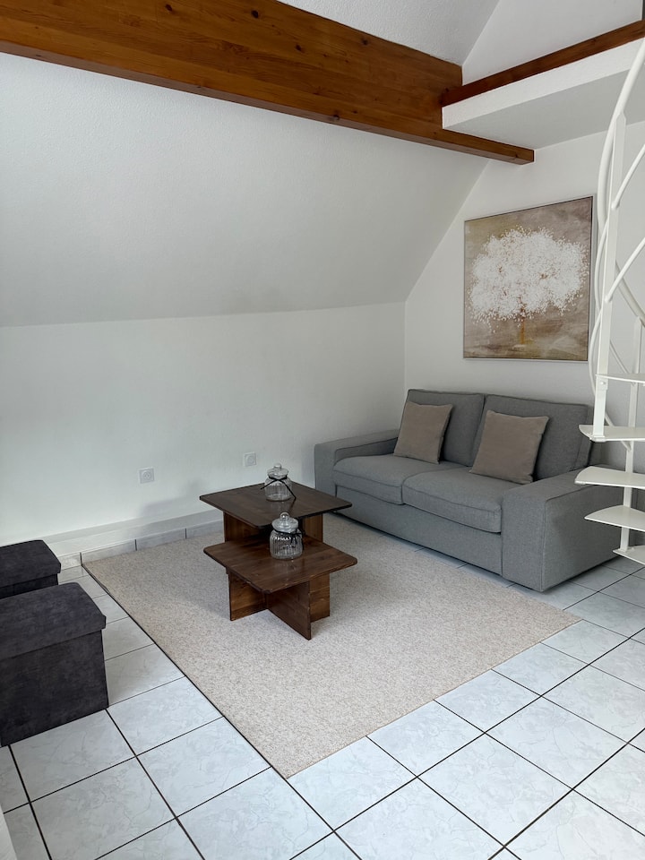 Studio Moderne - Château de Vizille