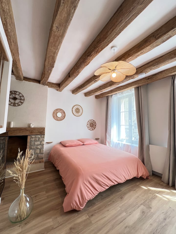 Studio Neuf Hyper Centre - L'originel - Saint Aignan