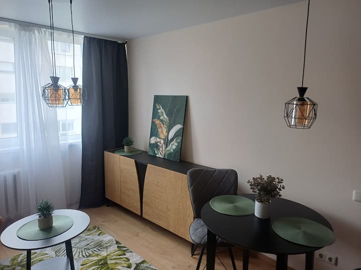 Cozy Olandu Studio - Vilnius