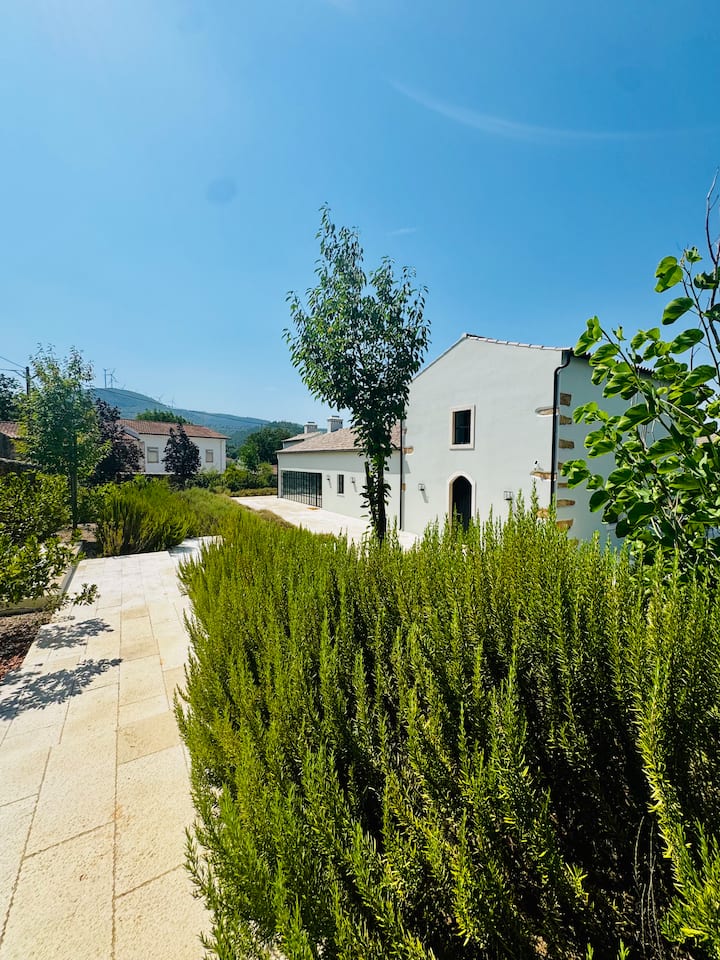 The Grove | Pool, Padel & Cellar - Penela