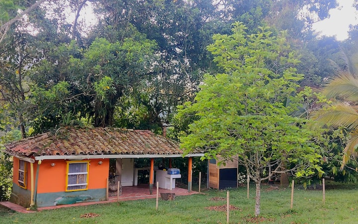 Cabaña Ecológica Junto Al Rio San Carlos Antioquía - San Carlos, Colombia