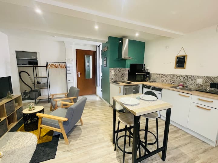 Studette Au Cœur De La Ville - Narbonne