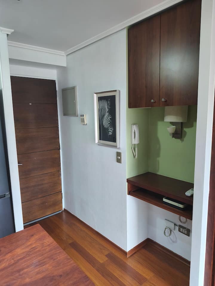 Moderno Y Cómodo Departamento - Providencia